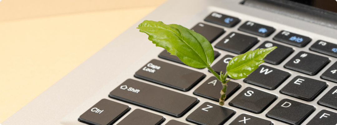 Best Practices of Green Software Development | Infotel India